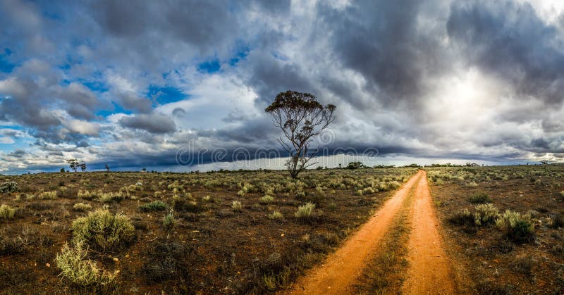 Desert Tracks in the Outback, Australia Stock Photo - Image of ...