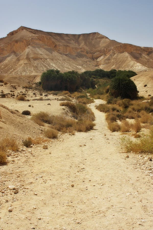 Desert trail stock image. Image of geology, nature, pattern - 17728197