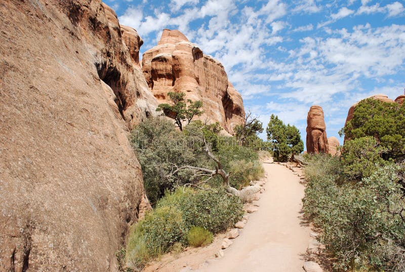 Desert Trail stock image. Image of climate, explore, outdoors - 17760827