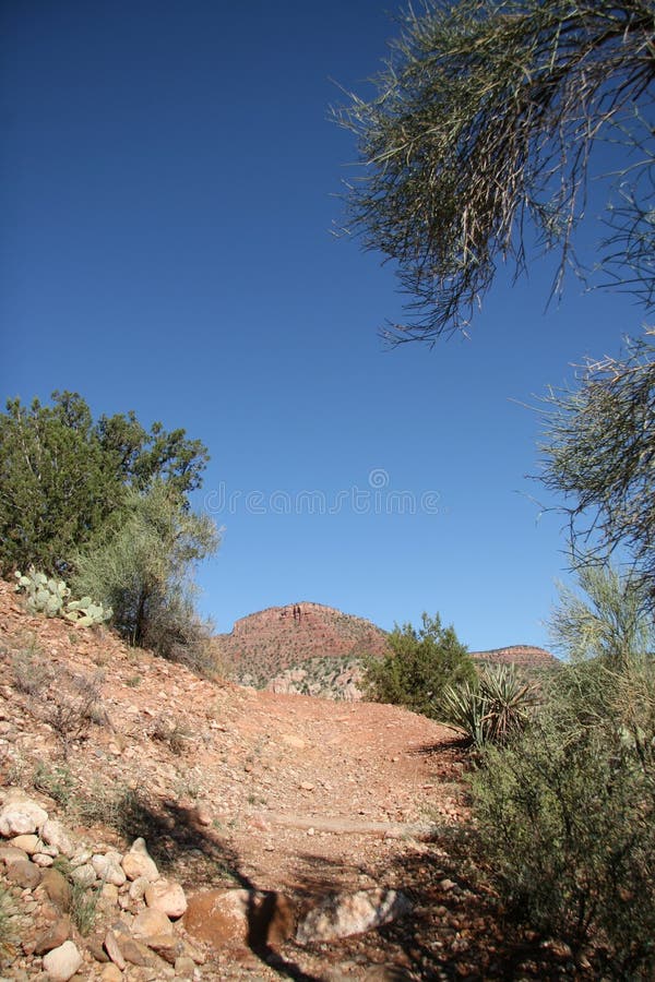 Desert Trail stock photo. Image of lush, desert, sycamore - 3080608