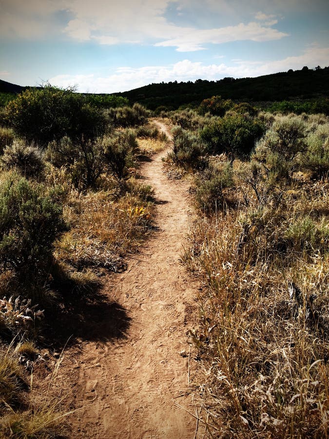 Desert trail stock image. Image of desert, wanderlust - 254275821