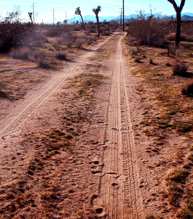 Desert Trail stock image. Image of lonely, isolated, scrub - 89486979