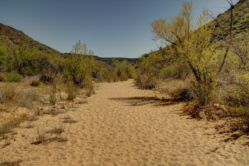 Desert Trail stock photo. Image of southwest, vegetation - 98632912