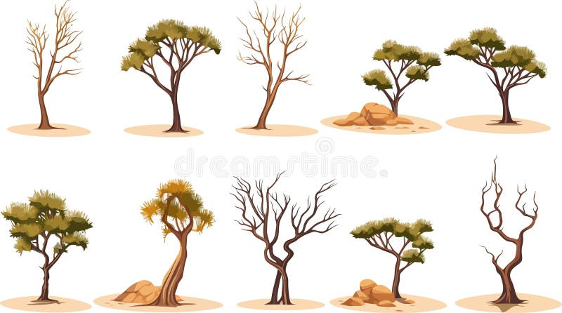 Desert Trees Set Isolated Vector Style Illustration Stock Vector ...