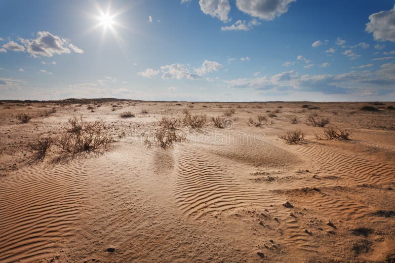 Desert Under a Blue Sky with Clouds Stock Image - Image of horizon, arid: 53496275