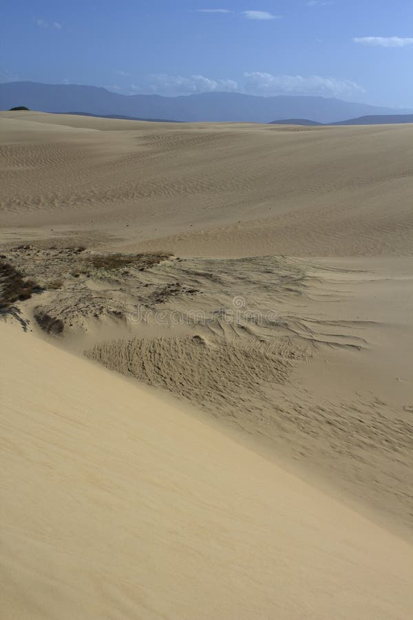 Desert V stock image. Image of outside, bushes, north - 42431183