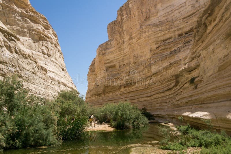 Desert Valley Israel stock photo. Image of trees, river - 179624384