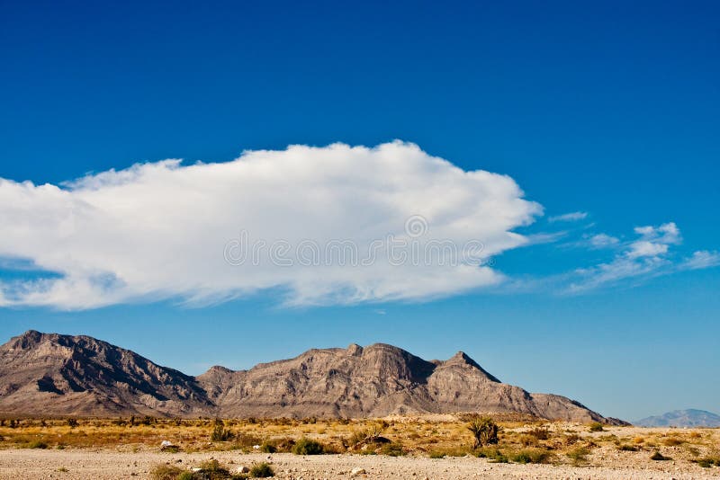 Desert View stock photo. Image of cactus, climate, mountain - 16590530