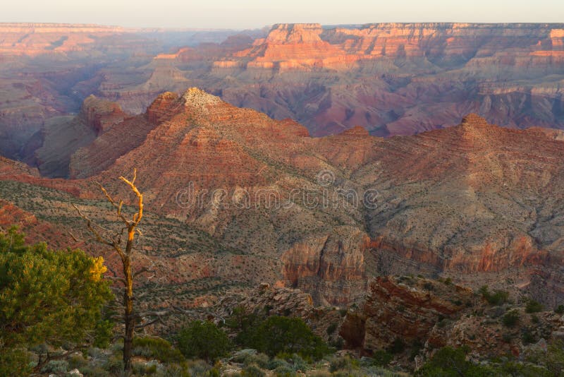 Grand Canyon From Desert View Point Stock Image - Image of desert ...