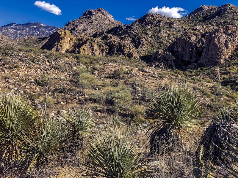 Desert mountain stock photo. Image of desert, mountain - 134735900