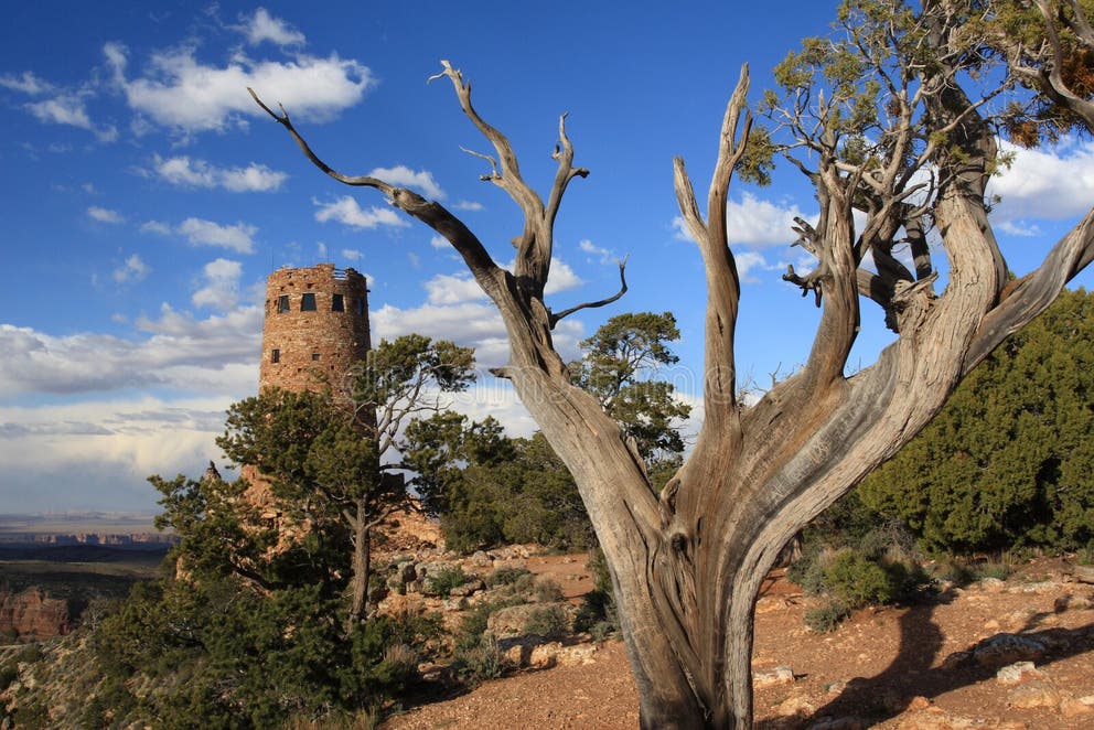 Desert view watch tower stock photo. Image of view, vacation - 6805420