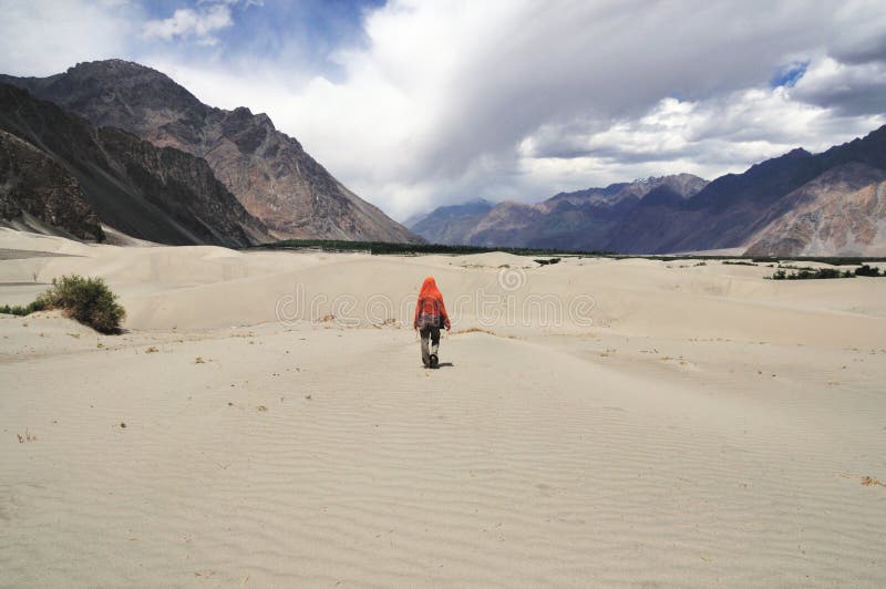 Desert Walk stock photo. Image of peaceful, valley, india - 13284784