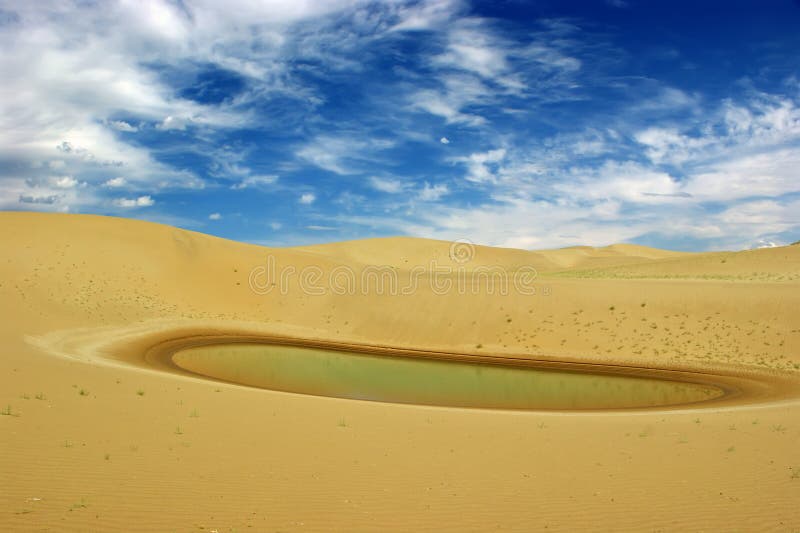 Desert and water stock photo. Image of plants, white - 17055904