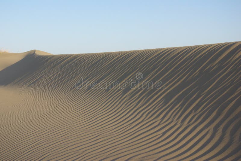 Desert wave stock image. Image of enviroment, sand, mongolia - 19685319