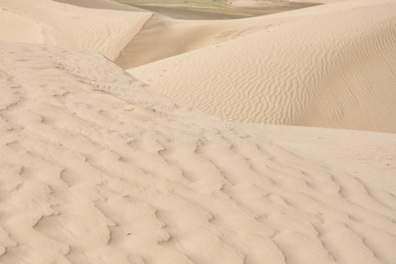Desert waves stock photo. Image of waves, sand, earth - 21414916