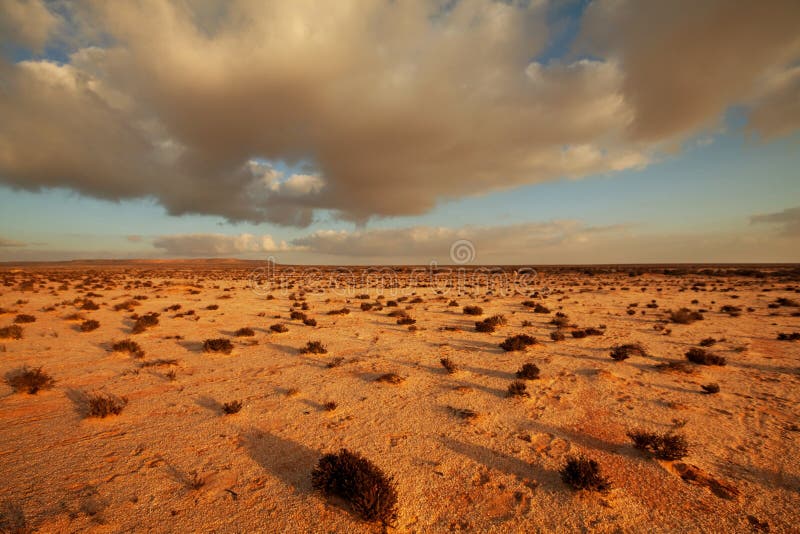 Desert in Western Sahara stock photo. Image of hill, morocco - 54166082