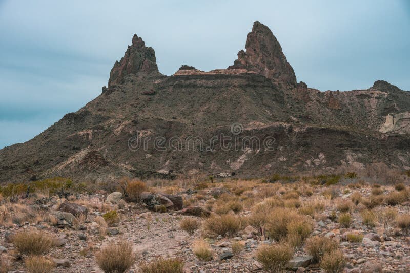 Desert Wilderness Below Mule Ears Formations Stock Image - Image of ...
