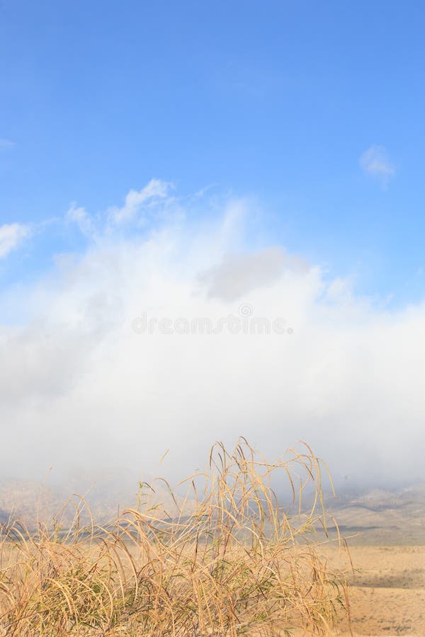 Desert Wilderness Scene with Copy Space Stock Image - Image of open ...