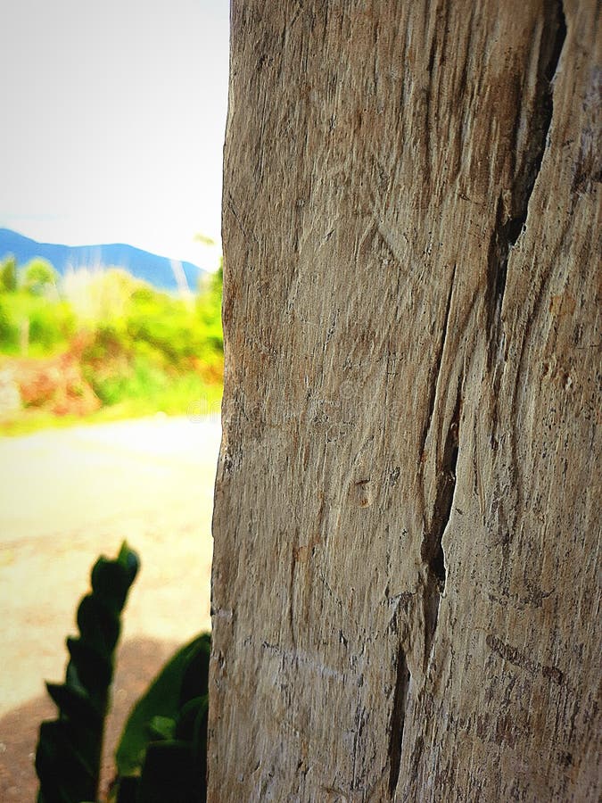 Desert Wood on the High Ground Stock Photo - Image of terrain, geology ...