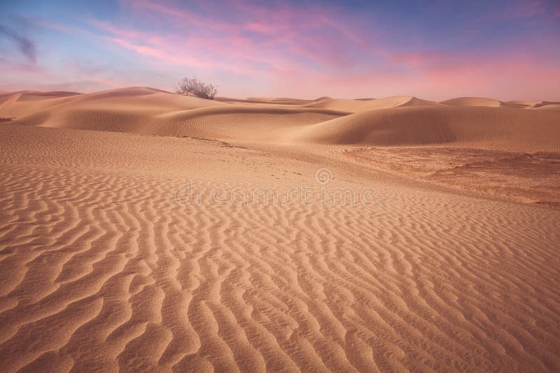 Desert in Xinjiang stock photo. Image of empty, desert - 127658006