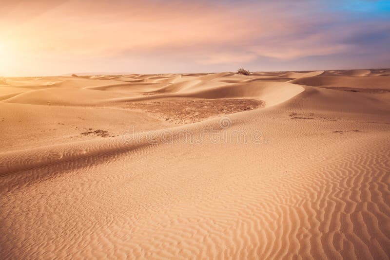 Desert in Xinjiang stock image. Image of panoramic, texture - 127658035