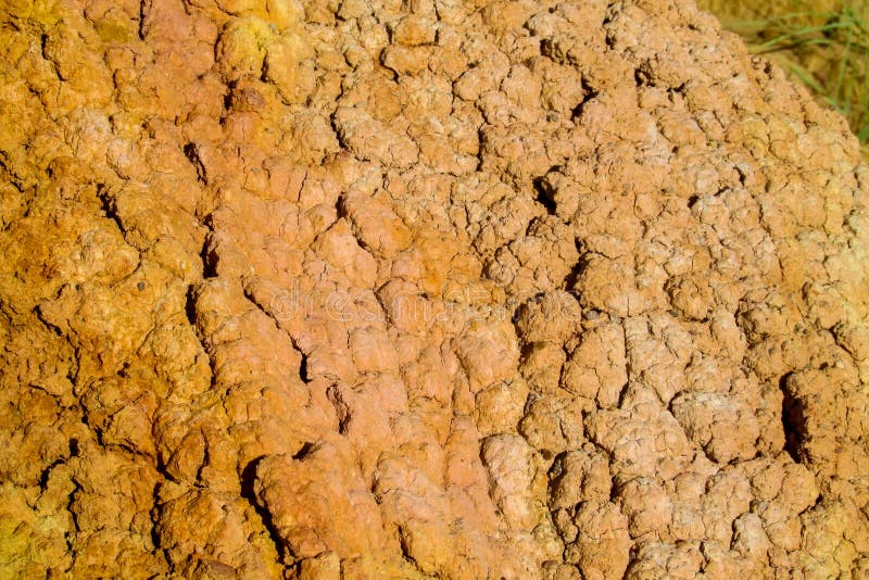 Desert Yellow Dry Ground Surface Pattern Stock Image - Image of barren ...
