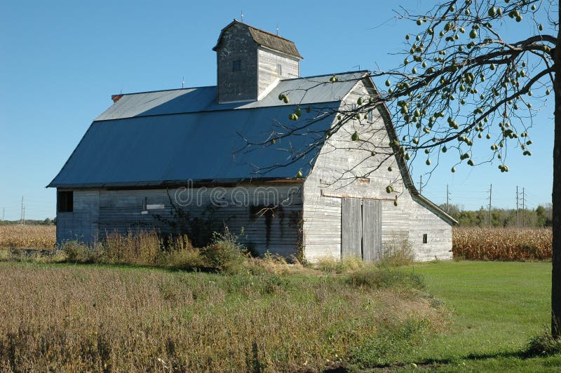 Deserted Barn with Apple Tree Stock Photo - Image of iowa, apple: 5846908