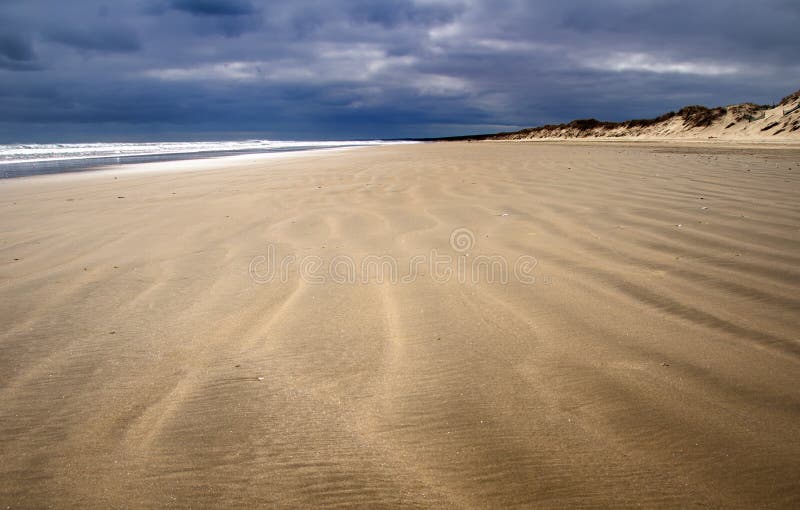 Deserted beach stock photo. Image of north, ocean, island - 15958718