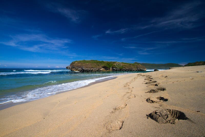Deserted beach stock image. Image of plants, idyll, holiday - 31514035