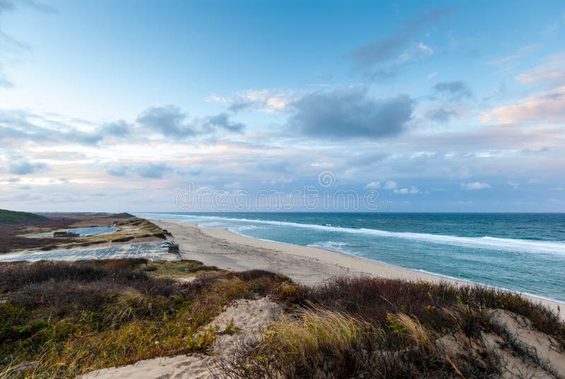 Cape Cod in November stock photo. Image of brown, branch - 103143664