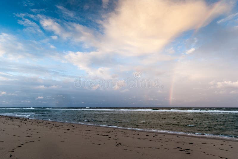 Cape Cod in November stock photo. Image of brown, branch - 103143664