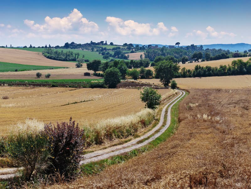 Deserted country road stock photo. Image of meadow, summer - 76612742