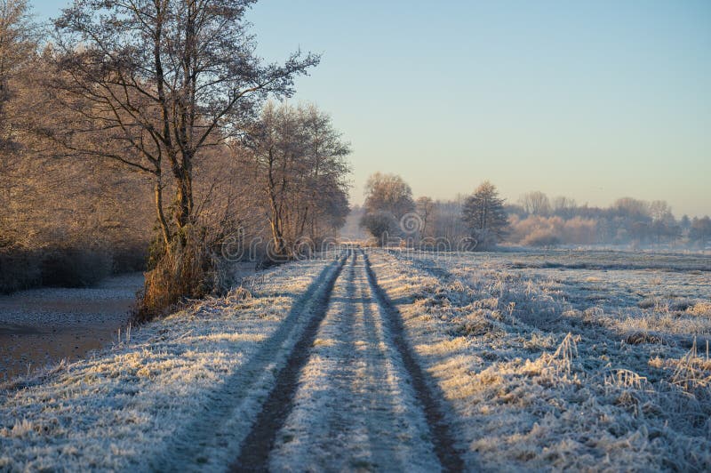 A Cold Dawn in the Countryside. Stock Image - Image of landscape ...