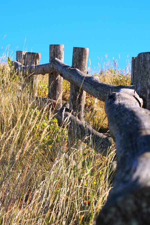Deserted field and meadow stock image. Image of countryside - 28662377