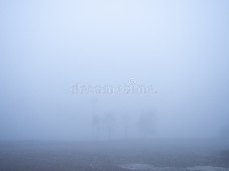 Deserted Garden on the Fog Day Stock Photo - Image of deserted, effect ...