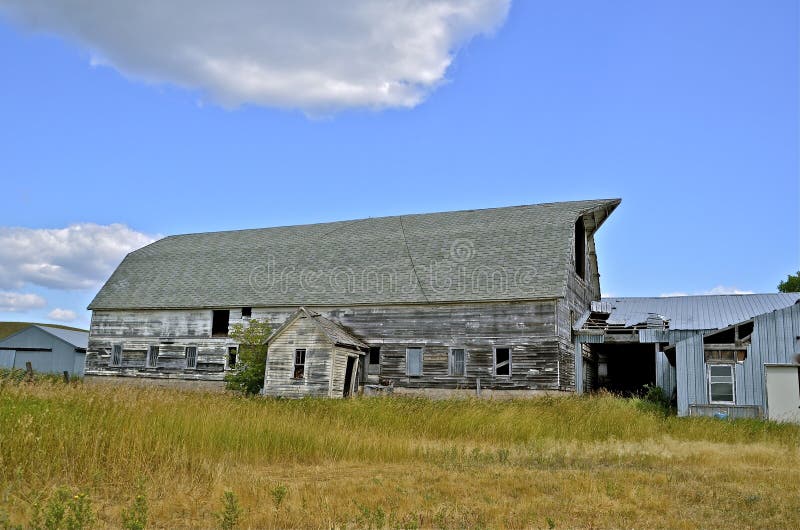 Deserted huge old barn stock photo. Image of cows, farm - 44647776