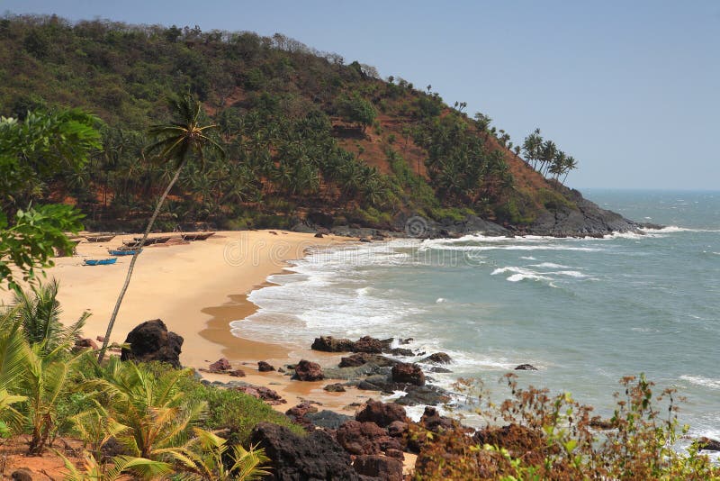 Deserted Indian Beach stock photo. Image of palms, india - 9021056