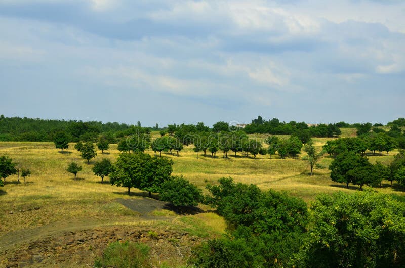 Deserted Landscape on a Summer Day. Stock Image - Image of hill ...