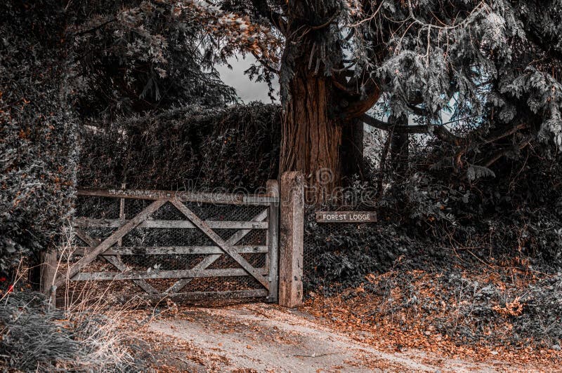 Barred Enclosure Stock Photos - Free & Royalty-Free Stock Photos from ...