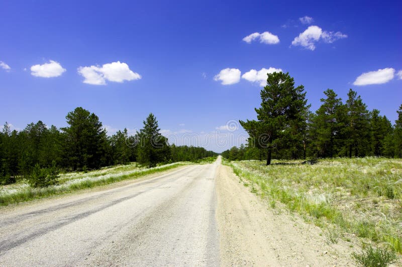 Deserted road stock image. Image of forest, plant, landscape - 4601219