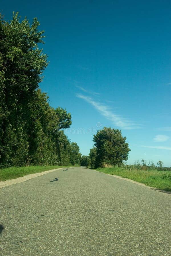 Deserted Road Covered by Foliage on Harriman State Park, NY. Stock ...