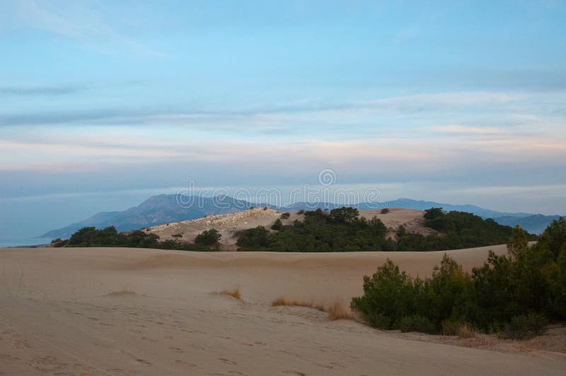 Deserted Sandy Beach with Clean Fine Sand at Sunrise Stock Photo ...