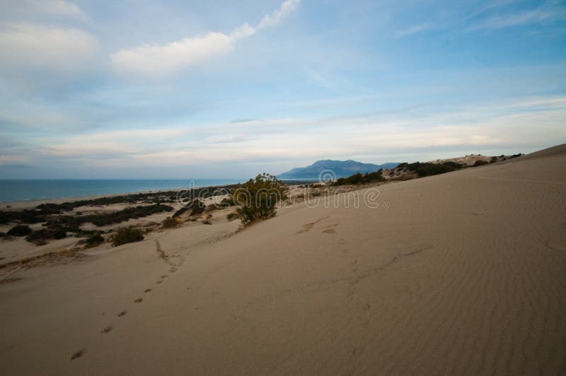 Deserted Sandy Beach with Clean Fine Sand at Sunrise Stock Image ...