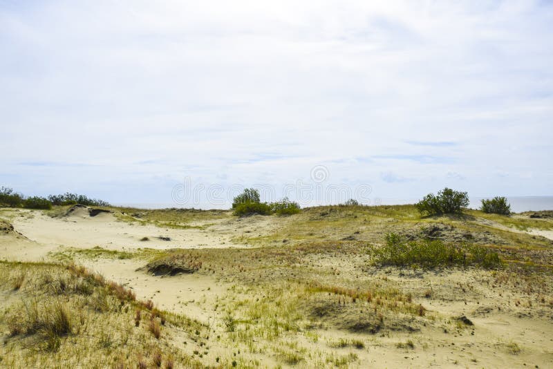 Deserted Sandy Landscape with Greenery Trees and Woods Weather Sky ...