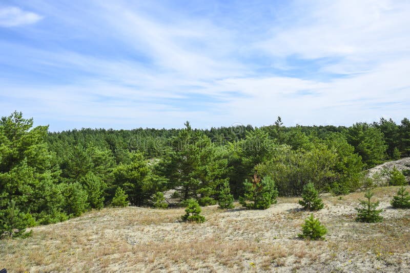 Deserted Sandy Landscape with Greenery Trees and Woods Weather Sky ...