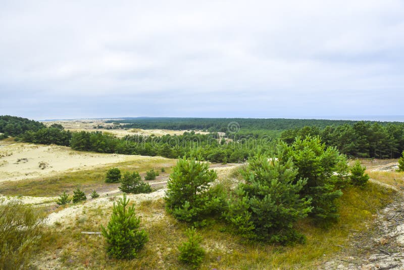Deserted Sandy Landscape with Greenery Trees and Woods Weather Sky ...