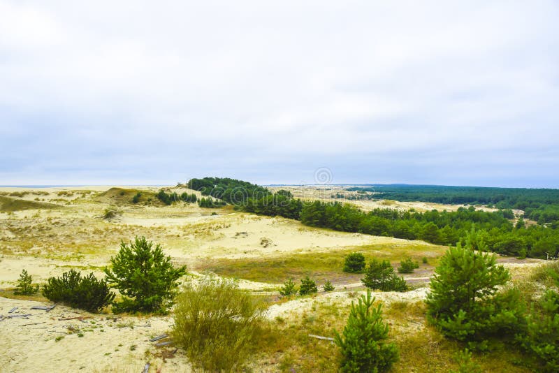 Deserted Sandy Landscape with Greenery Trees and Woods Weather Sky ...