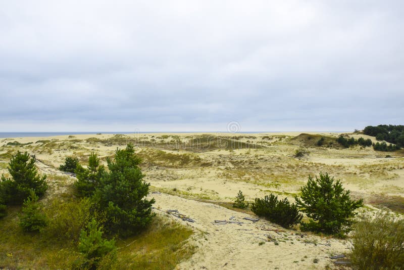 Deserted Sandy Landscape with Greenery Trees and Woods Weather Sky ...