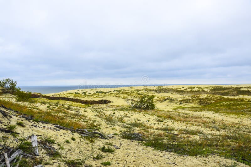 Deserted Sandy Landscape with Greenery Trees and Woods Weather Sky ...