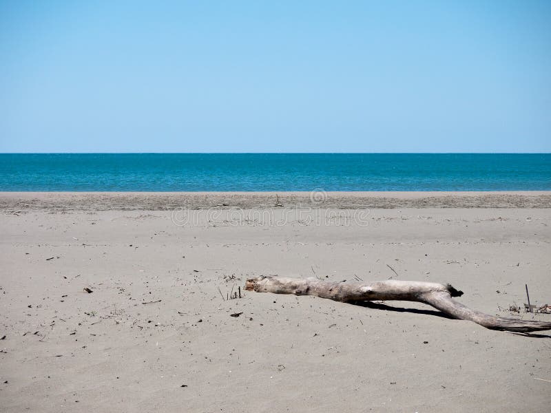 Deserted Unspoilt Beach with Driftwood Stock Photo - Image of sunshine ...
